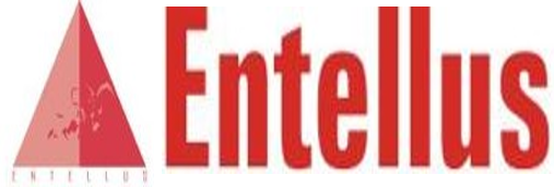 Entellus - Transform your Future